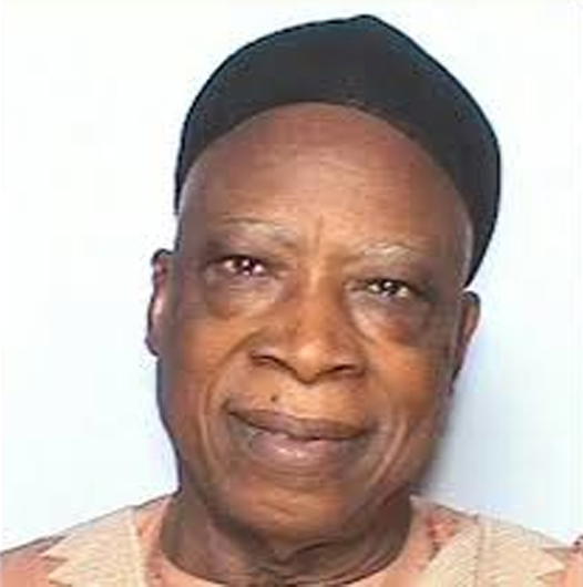 APC unveils Adamu as consensus national chair - Vanguard News