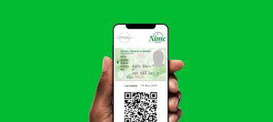 How to find your NIN, check your other NIMC details online - Vanguard News
